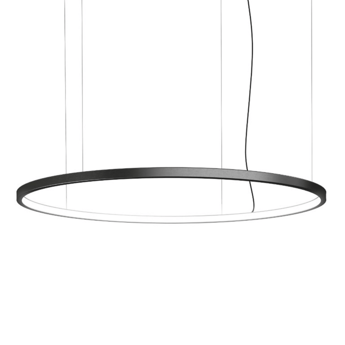 Martinelli Luci Loop | Hanging Lights – Light Journey