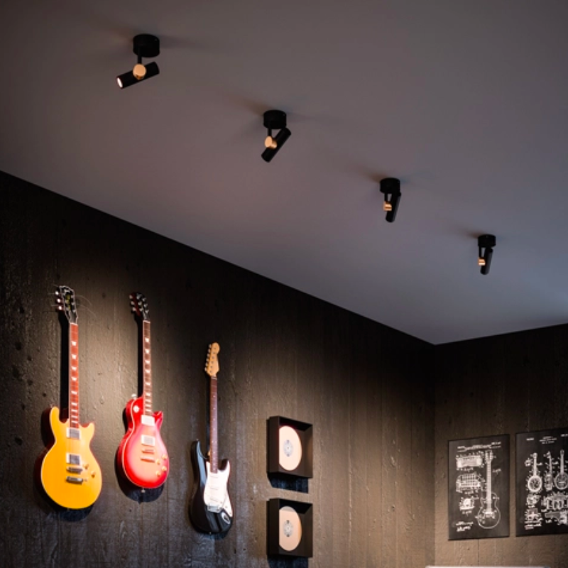 Linea Light Goose | Projector - Light Journey Singapore